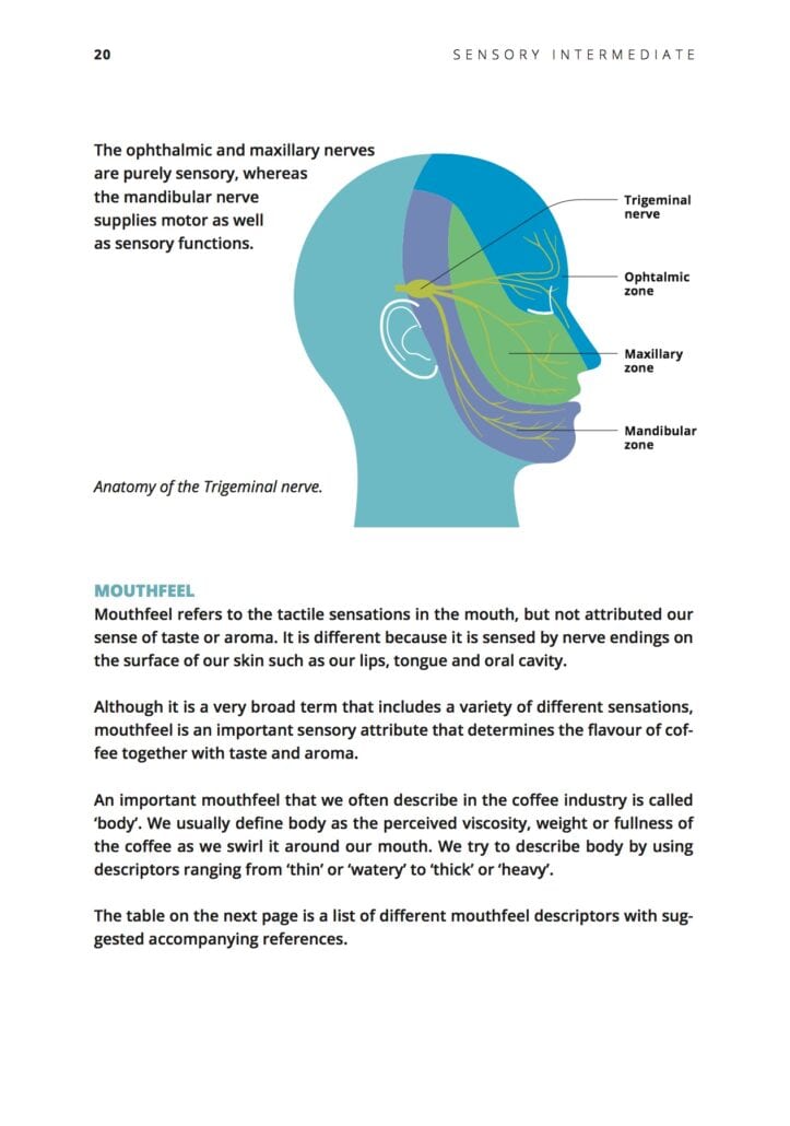 Sensory Intermediate Book - CoffeeMind