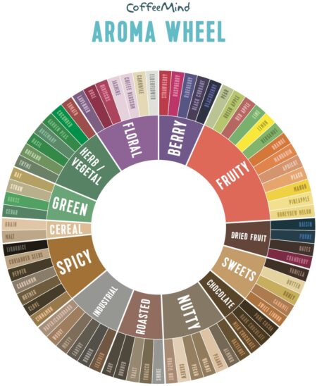 CoffeeMind Aroma Wheel - CoffeeMind