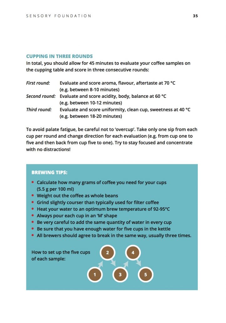 Sensory Foundation Ebook - CoffeeMind