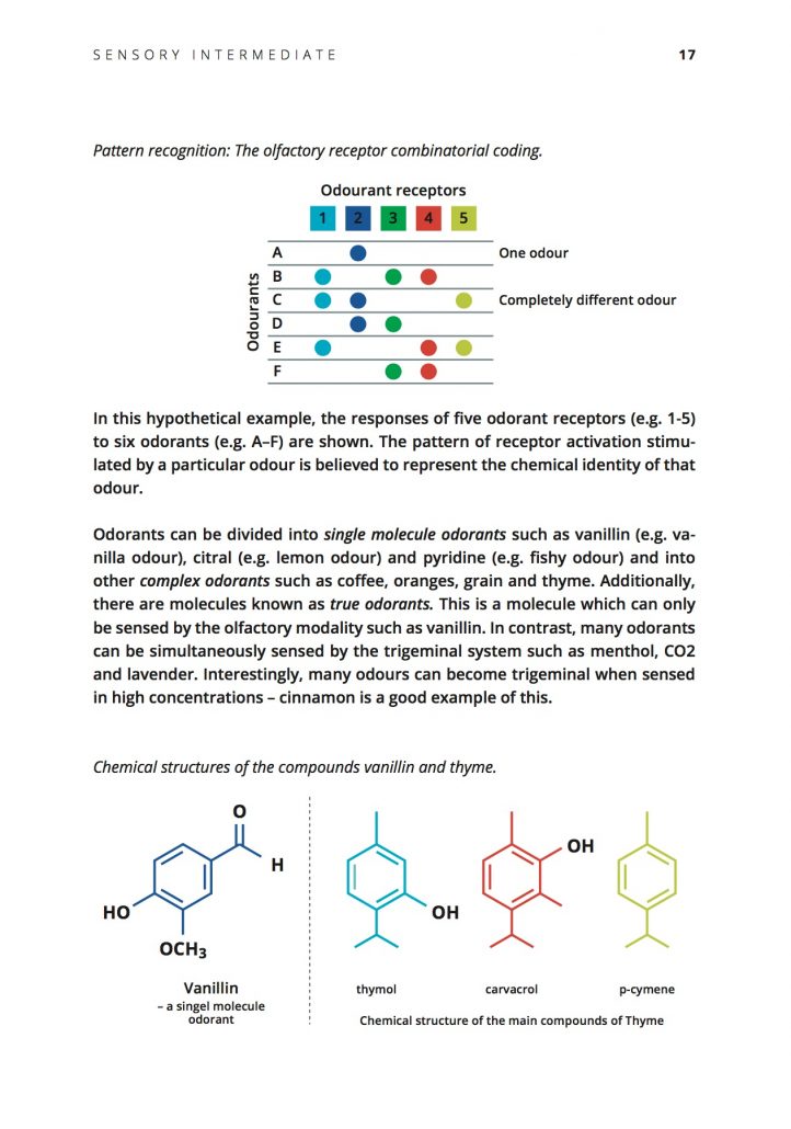 Sensory Intermediate Ebook - CoffeeMind