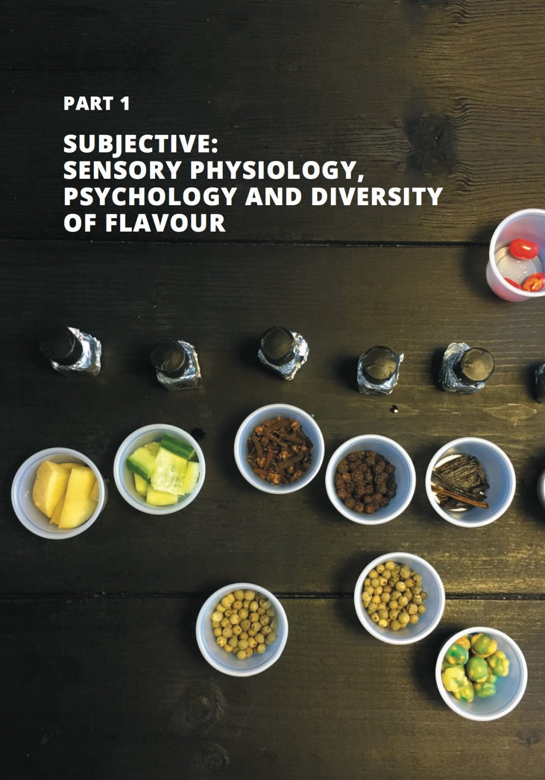 Sensory Intermediate Ebook - CoffeeMind